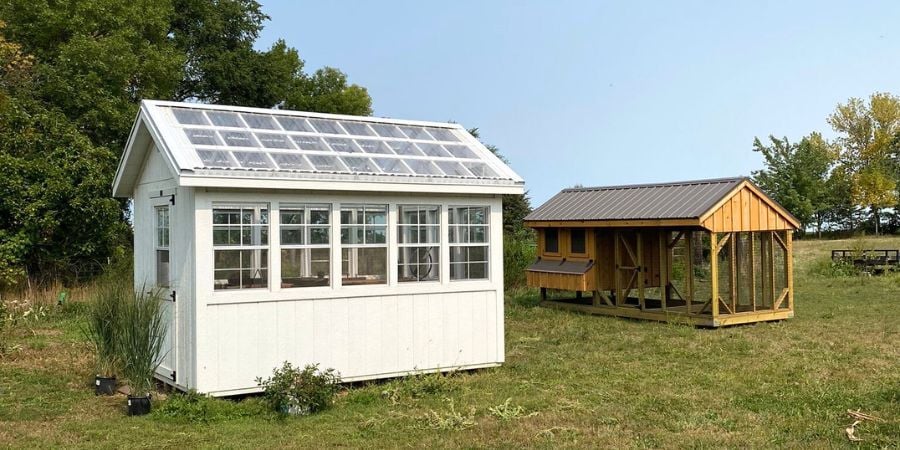 How a Chicken Coop Greenhouse Boosts Year-Round Egg Laying