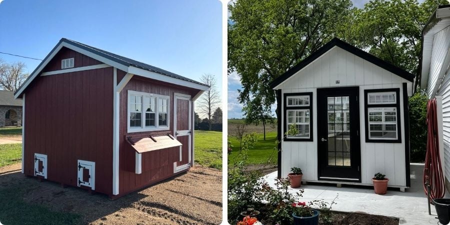 How a Chicken Coop Greenhouse Boosts Year-Round Egg Laying
