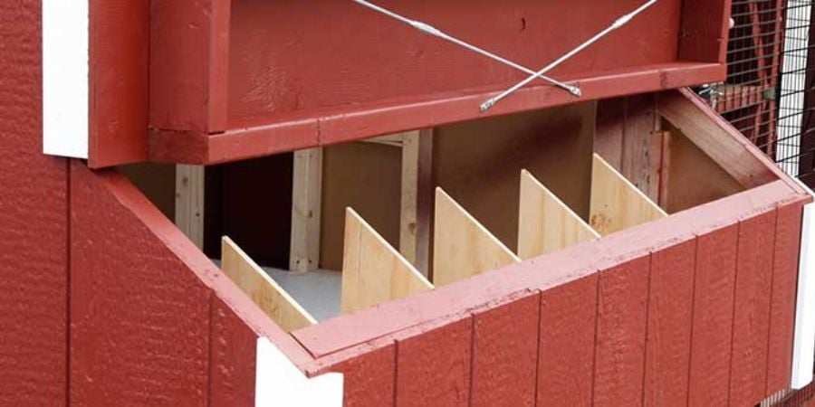 Is a Walk-In Chicken Coop the Best Option for Your Backyard?