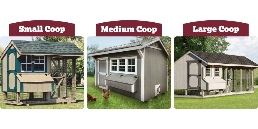 How to Choose the Best Chicken Coop Size for Your Backyard Flock