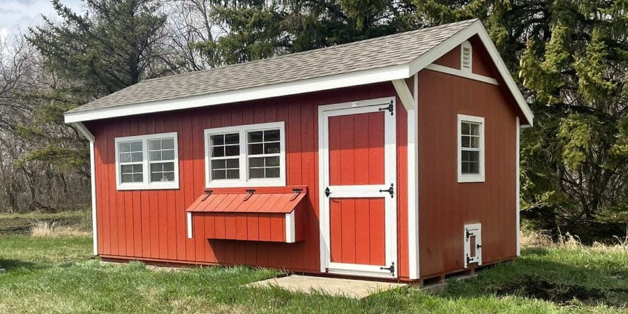 From Coop to Egg: Exploring Backyard Chicken House Options