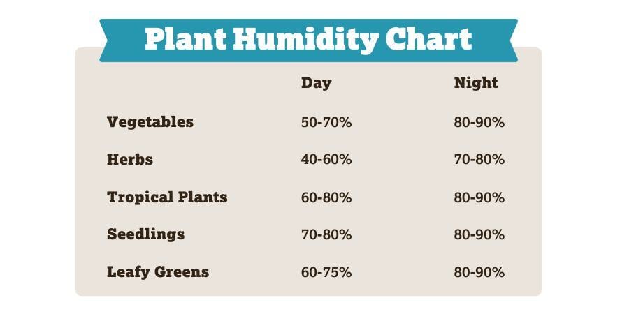 Keep Greenhouse Humidity in Check: How to Manage Temperature and ...
