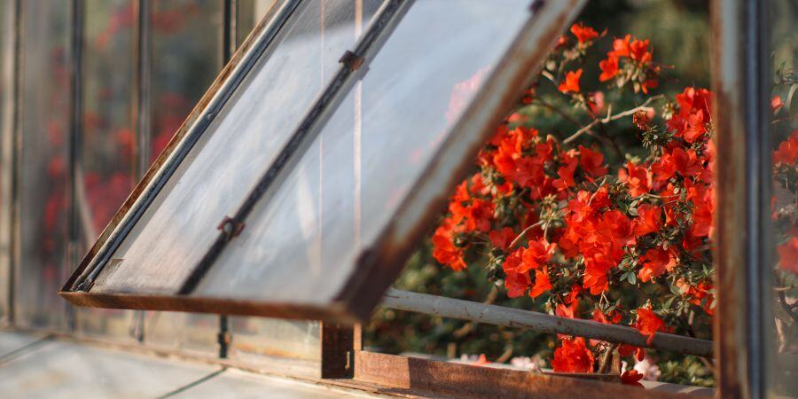 How to Create the Perfect Environment: Greenhouse Ventilation