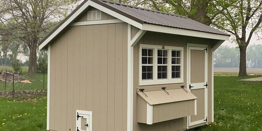 Maximize Your Shed Chicken Coop: How Dakota Helps You Customize