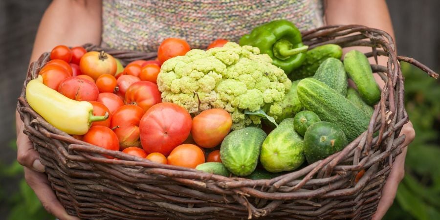 Homestead Greenhouse Tips for Year-Round Food Growing