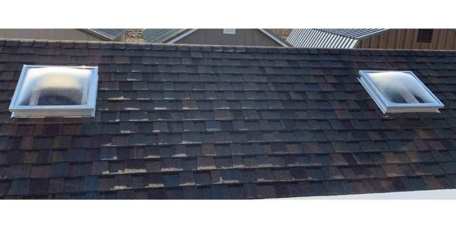 Interior Lighting Options For Your Backyard Garden Shed