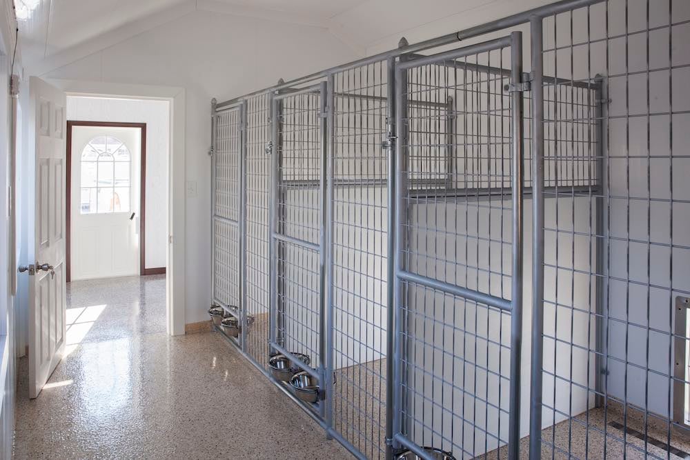 Commercial-grade Dog Kennels: Finding the Right Size